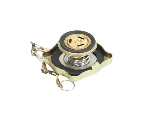 5017215 MERCEDES Tapa radiador